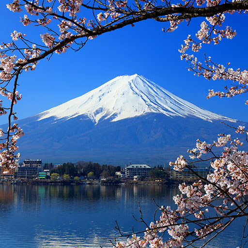 Tokyo Guide Highlight – Tokyo Bay Area Authentic Guide Club